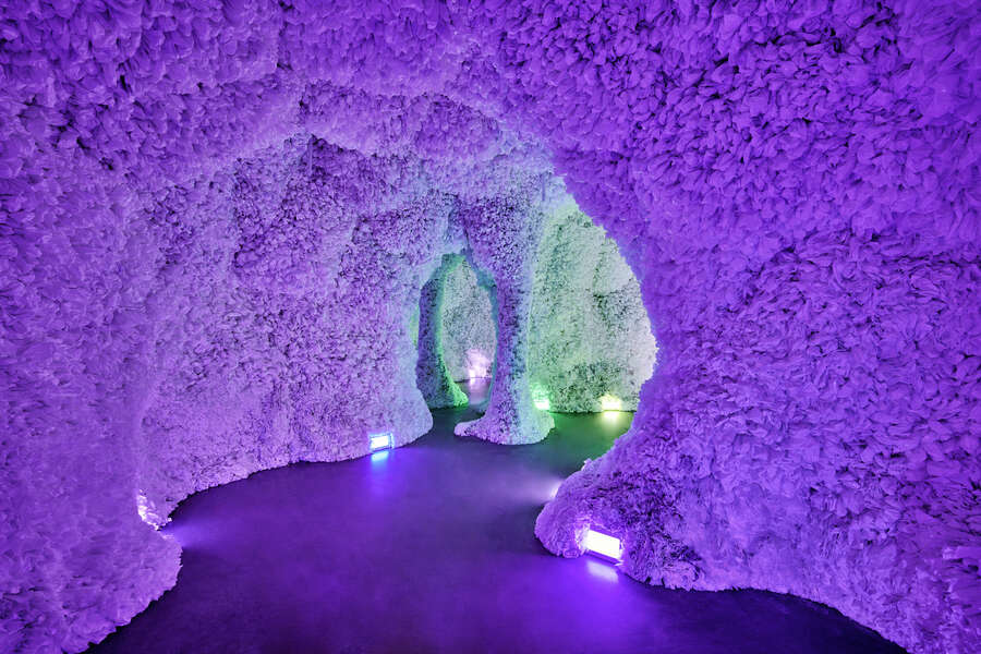 New Immersive Museum Thinks About the Future of The Planet - Thrillist