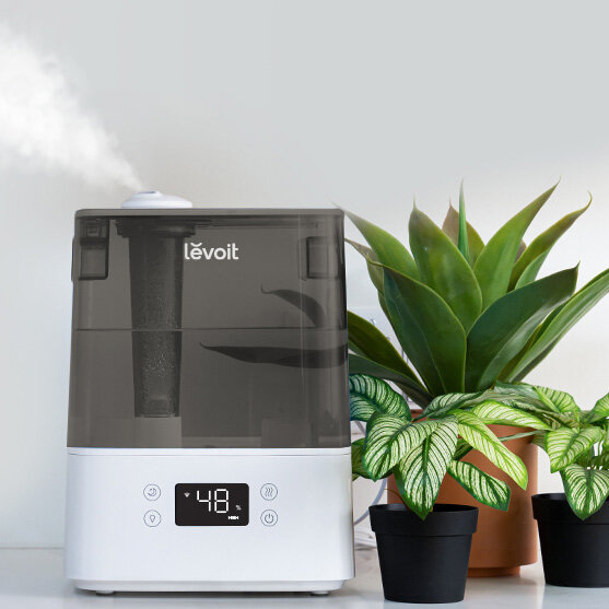Best Humidifiers on Amazon: Popular & Affordable Humidifiers - Thrillist