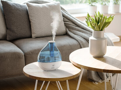 Best Humidifiers on Amazon: Popular & Affordable Humidifiers - Thrillist