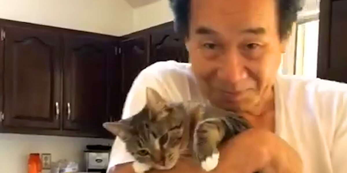 Dad Who Didn't Like Cats Falls In Love With His Daughter's Kitten ...