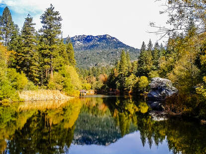 What to Eat, Drink, and Do in Idyllwild, California - Thrillist