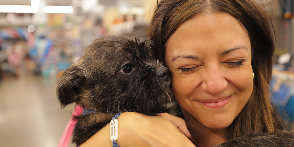 How PetSmart Charities Is Spreading Hope In 2022 - The Dodo