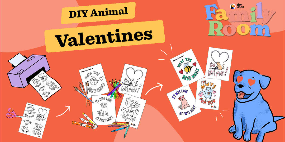 Show Your Love With These Print-And-Color Animal Valentines - The Dodo