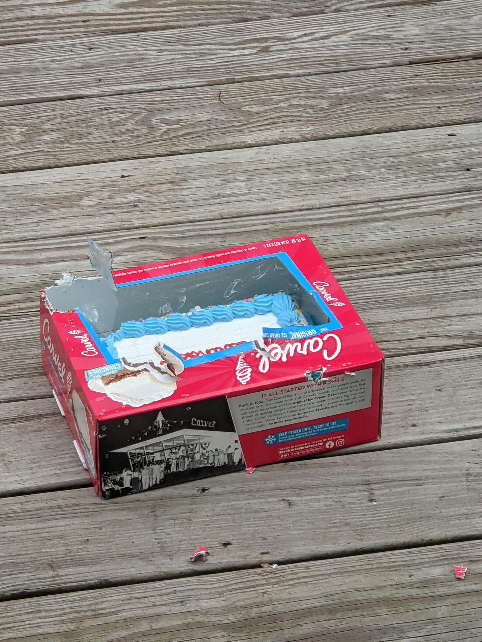 Squirrel Thought He Committed The Perfect Crime - The Dodo