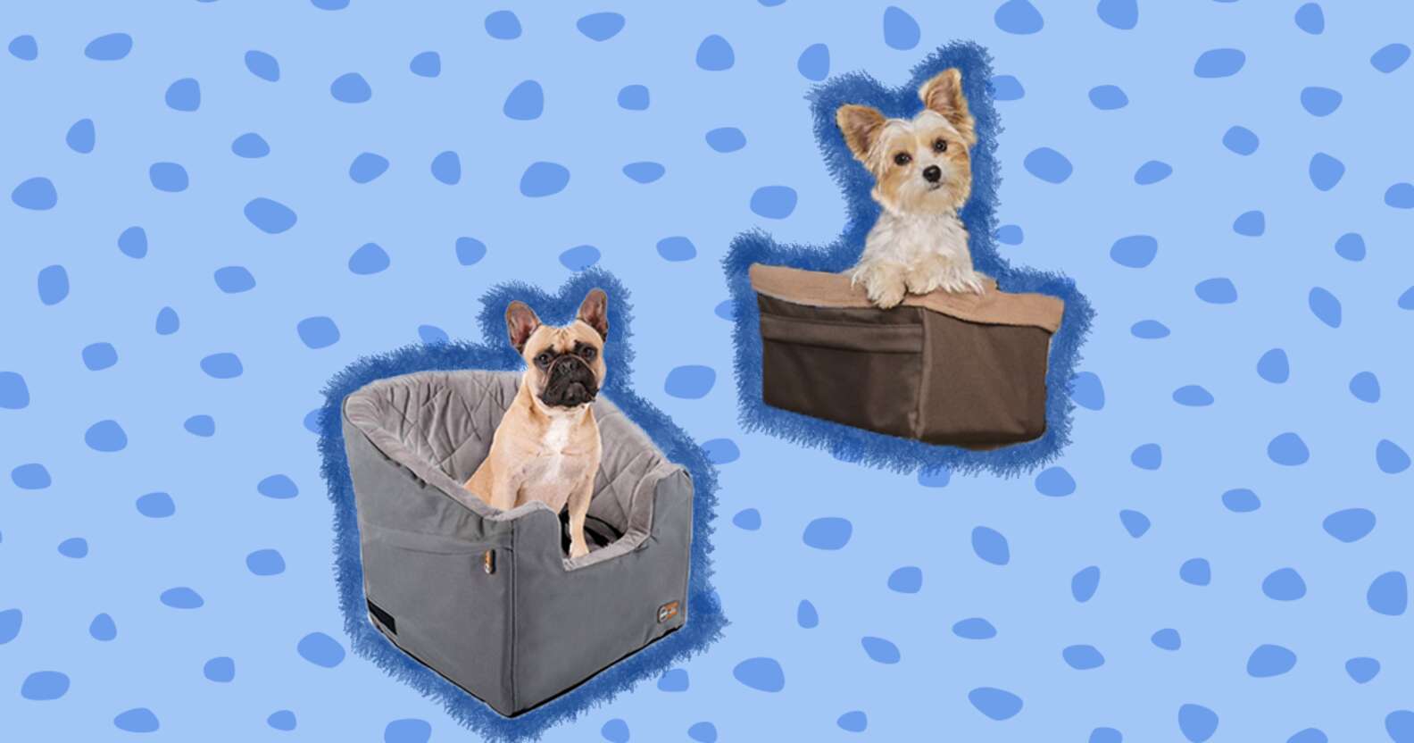 Does My Dog Need A Car Seat DodoWell The Dodo does-my-dog-need-a-car-seat-dodowell-the-dodo