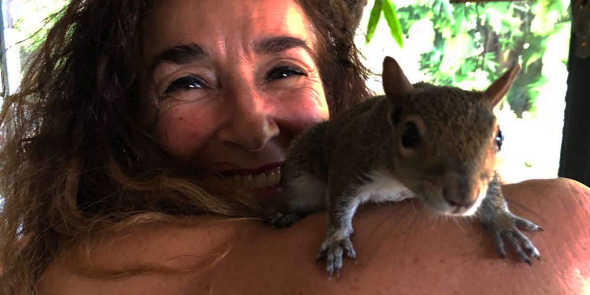 Rescue Squirrel Still Loves The Family Who Saved Him - Videos - The Dodo