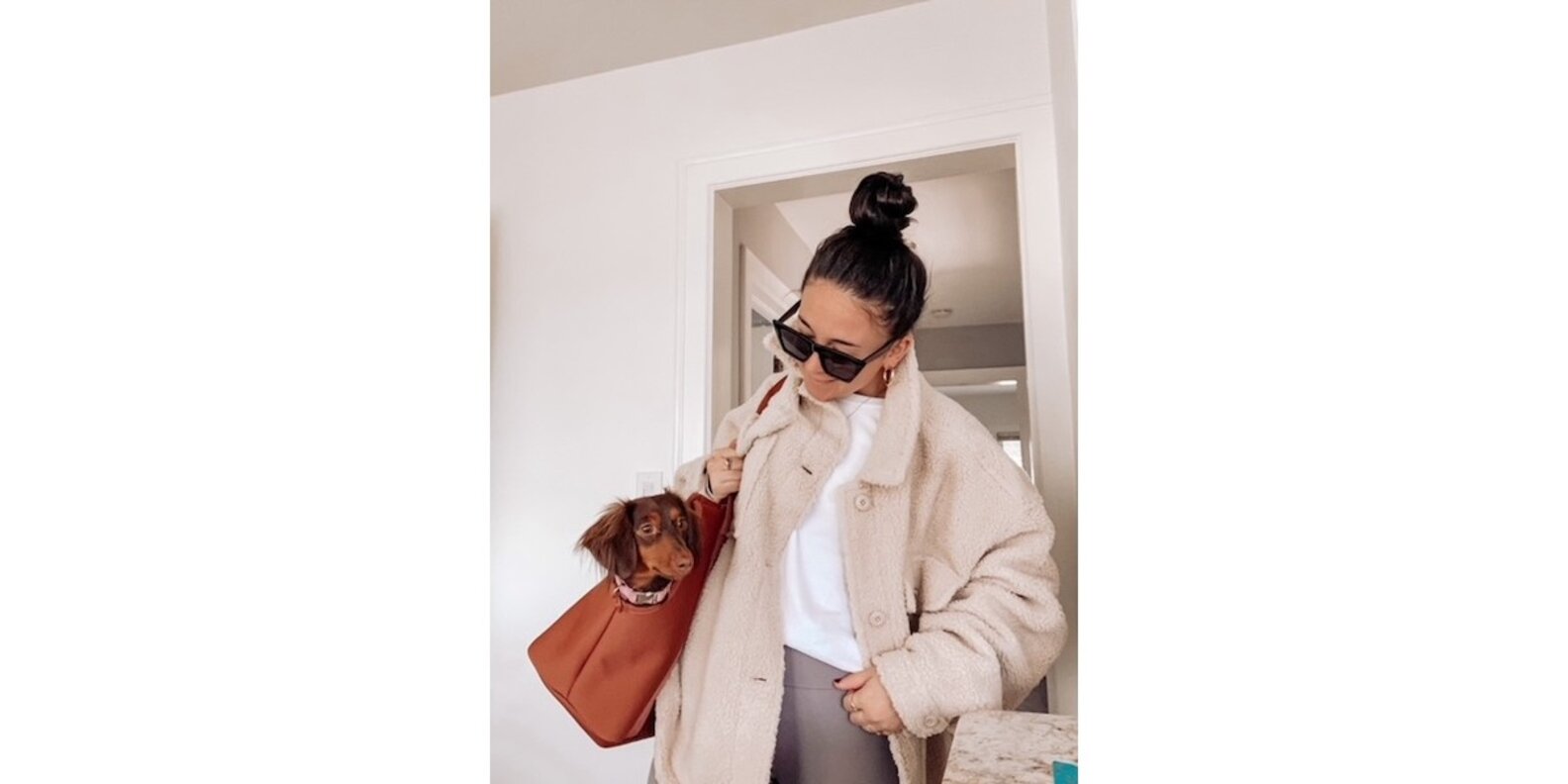 Wild One Everyday Carrier: Is It Actually Worth It? - Paw of Approval ...