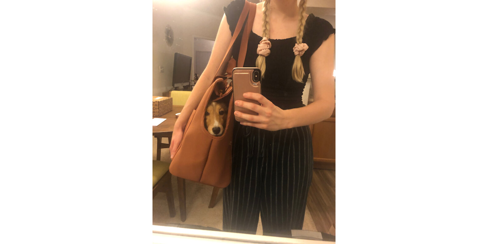 Wild One Everyday Carrier: Is It Actually Worth It? - Paw of Approval ...