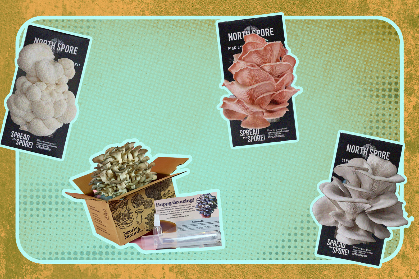 How To Grow Mushrooms Indoors: DIY Kits & Supplies - Thrillist