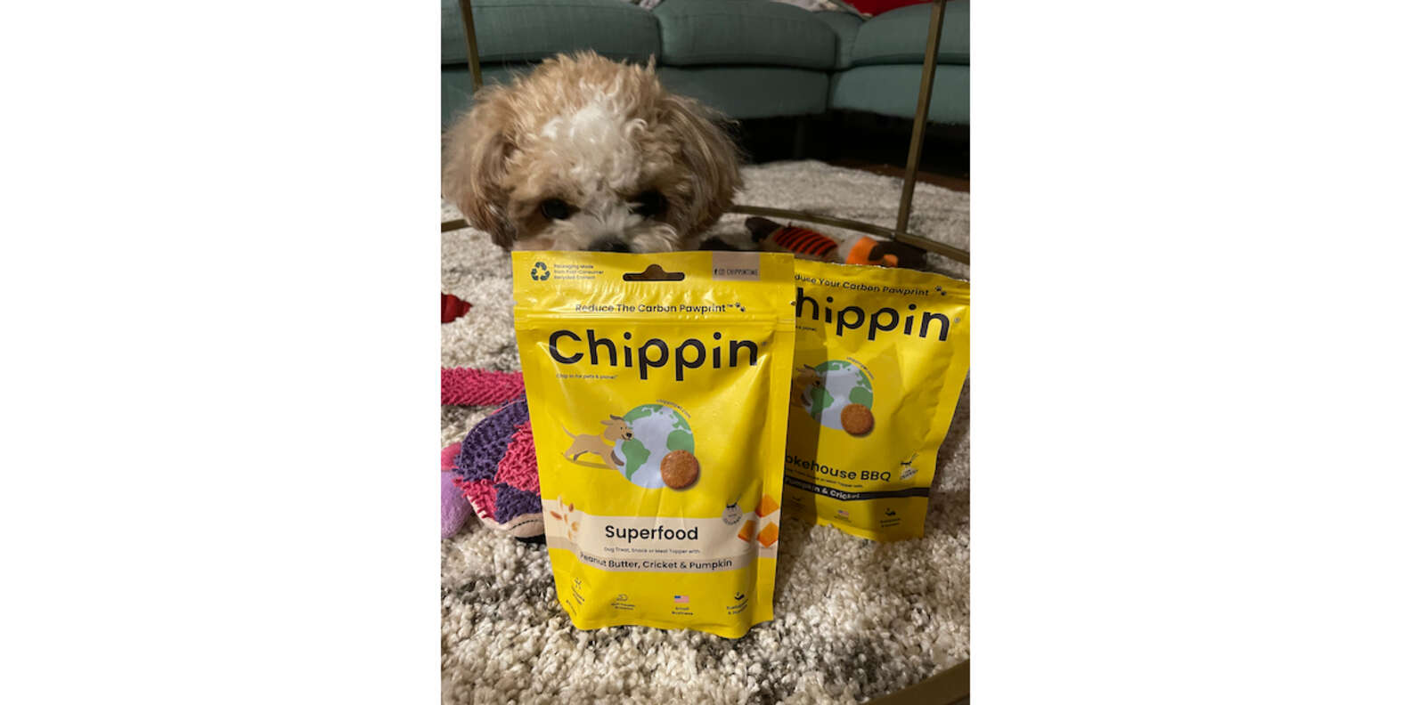 Chippin Dog Treats Review: Are These Cricket Dog Treats Actually Good ...