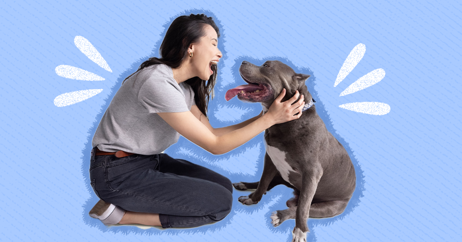 Introducing Fetch By The Dodo: Why We're Getting Into Pet Insurance