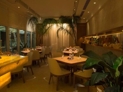 El Cielo: Miami, FL - Thrillist