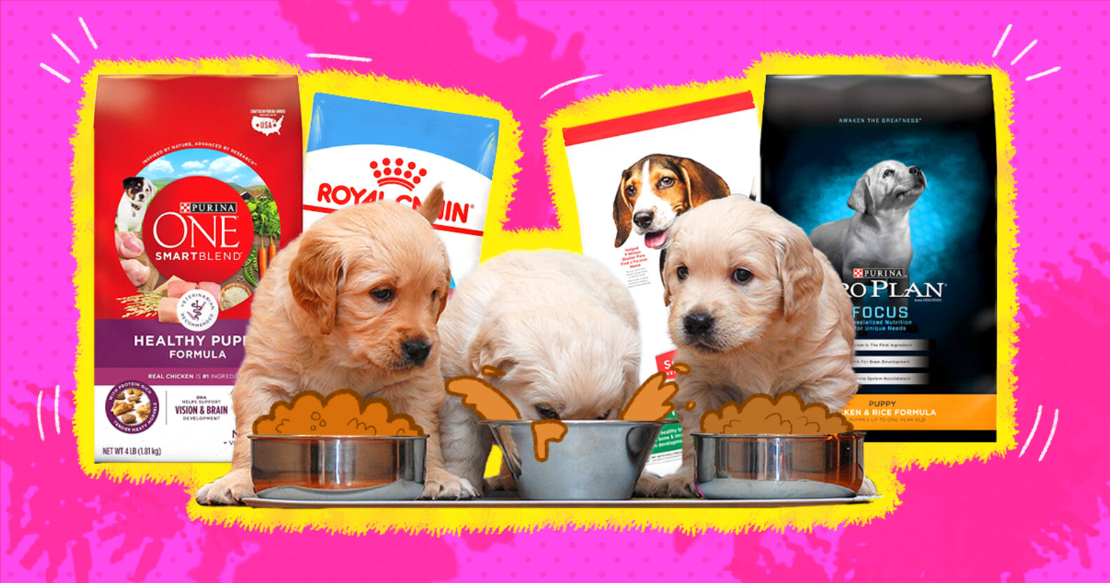 The 6 Best Puppy Foods, According To Veterinarians - DodoWell - The Dodo
