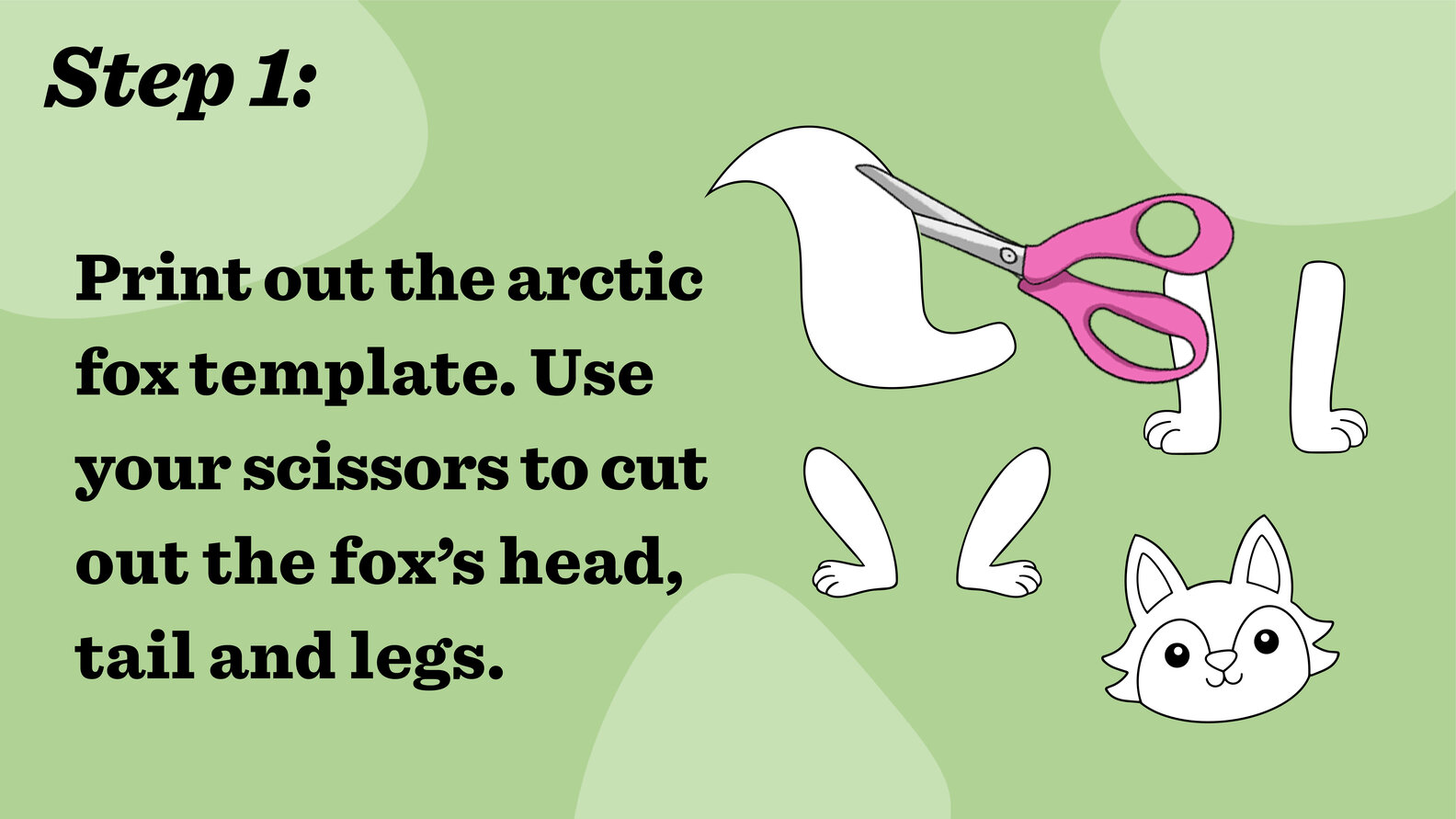 Make An Arctic Fox Out Of Popsicle Sticks And Cotton Balls - The Dodo