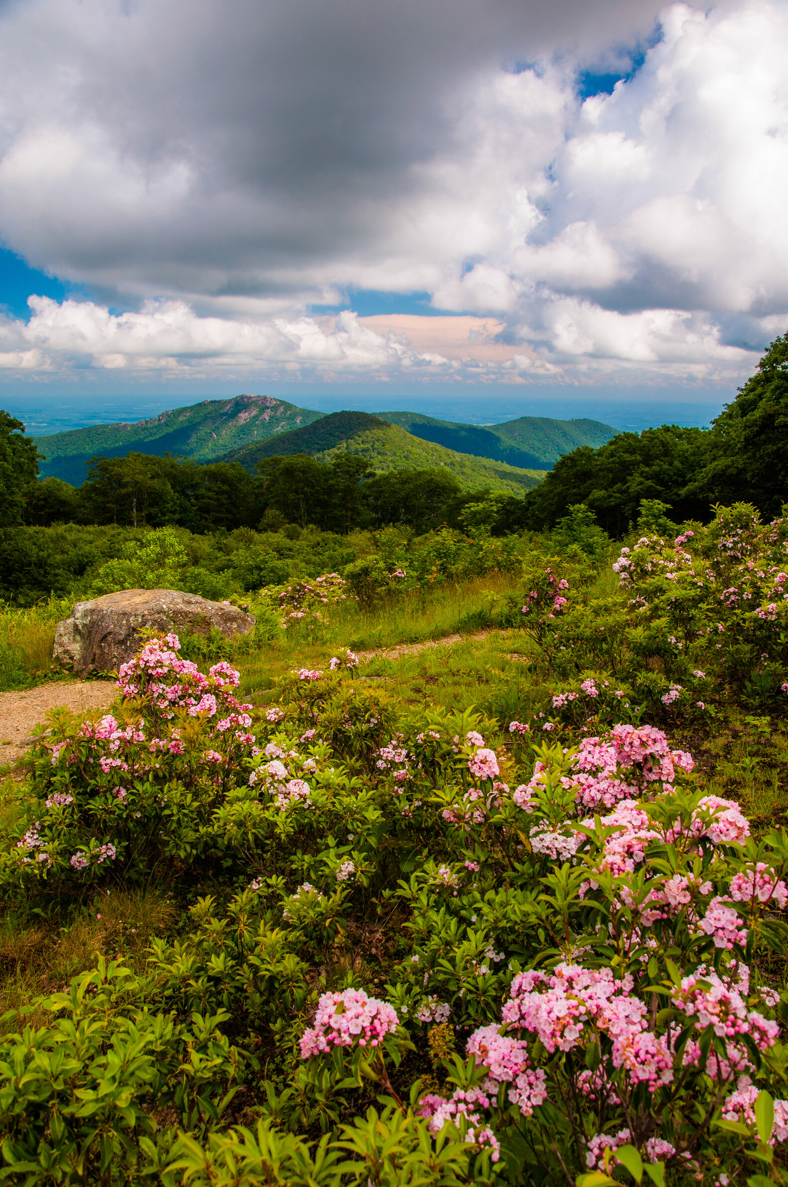 Best Places to Visit in the US in Spring: Texas, California & More ...
