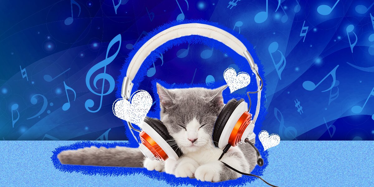 Do Cats Like Music DodoWell The Dodo do-cats-like-music-dodowell-the-dodo