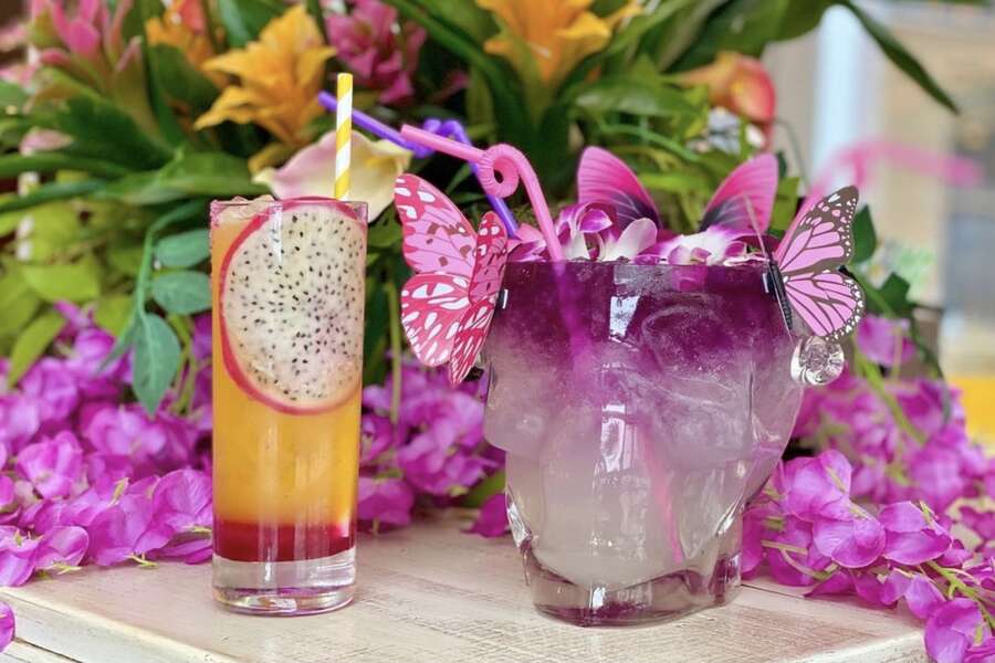 Citrus & Salt: Boston, MA - Thrillist