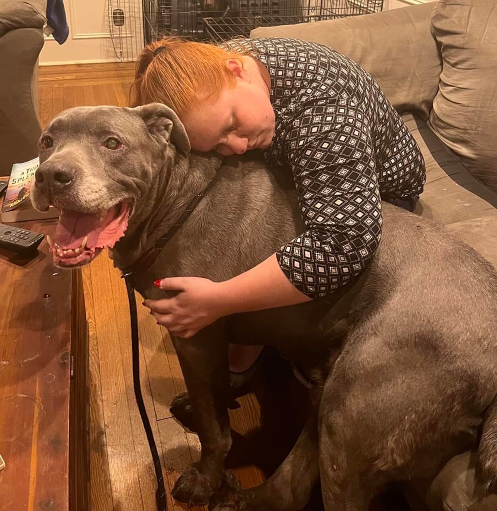 Dog Cries Real Tears After His Dad Surrenders Him To The Shelter - The Dodo