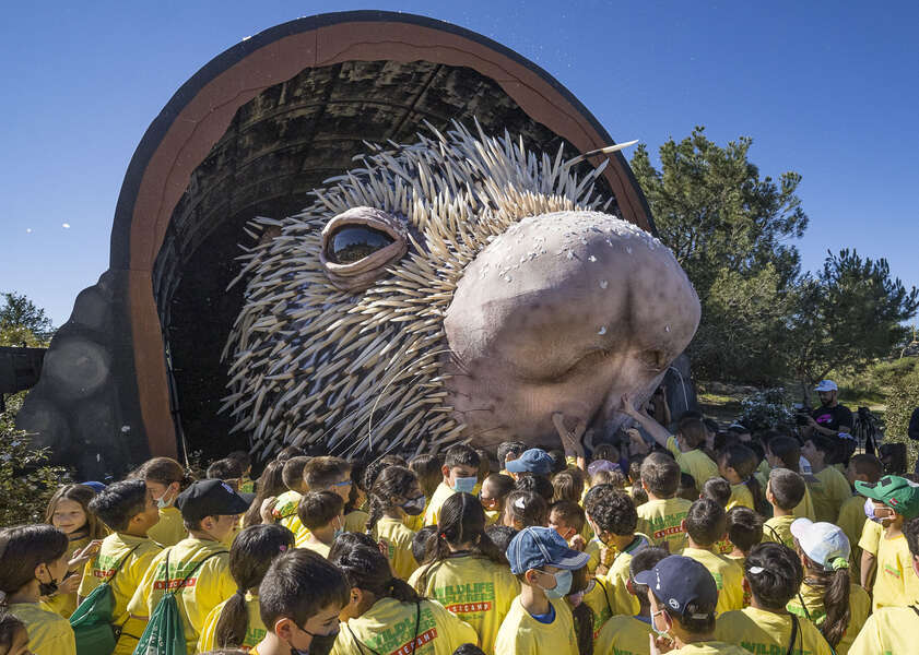 Giant Porcupine Puppet on Display Near Dodger Stadium - Thrillist