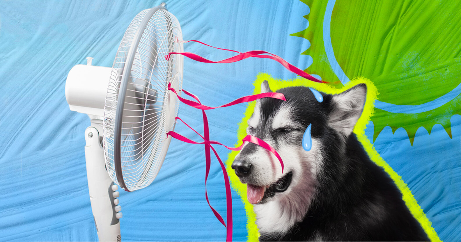 Dog Heat Safety: Keep Your Dog Safe In Hot Weather - DodoWell - The Dodo