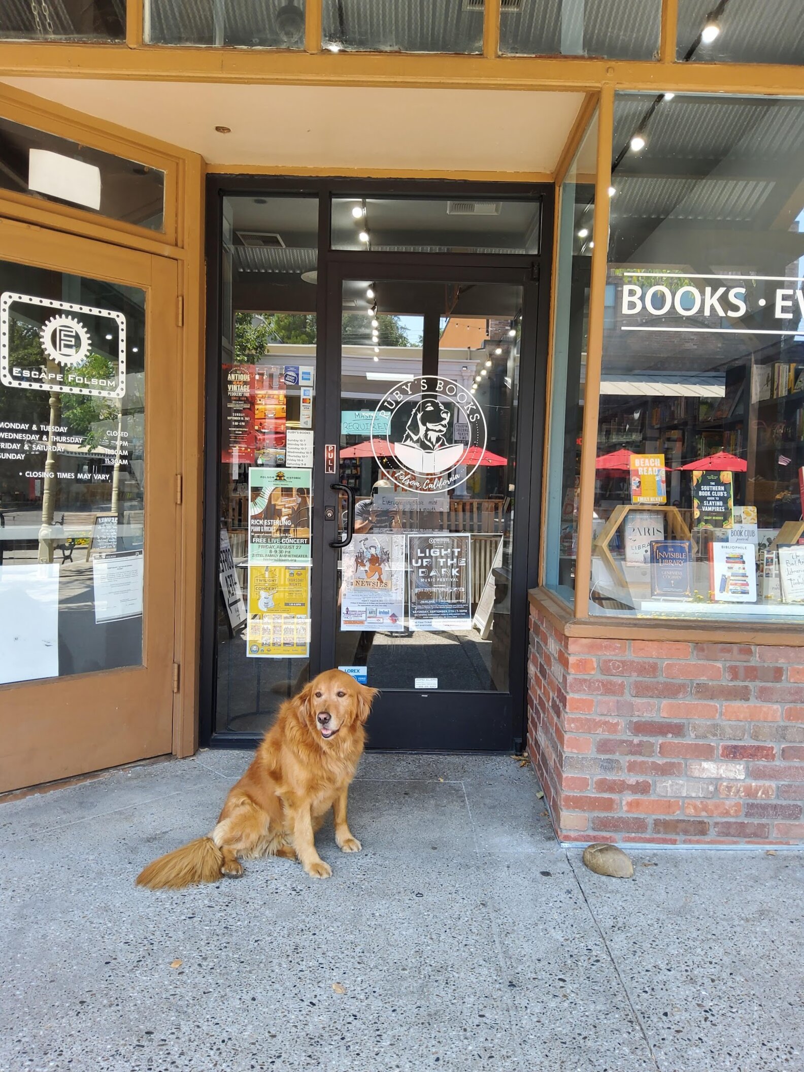 Family Names Bookstore After Their Dog And Makes Her The Manager - The Dodo