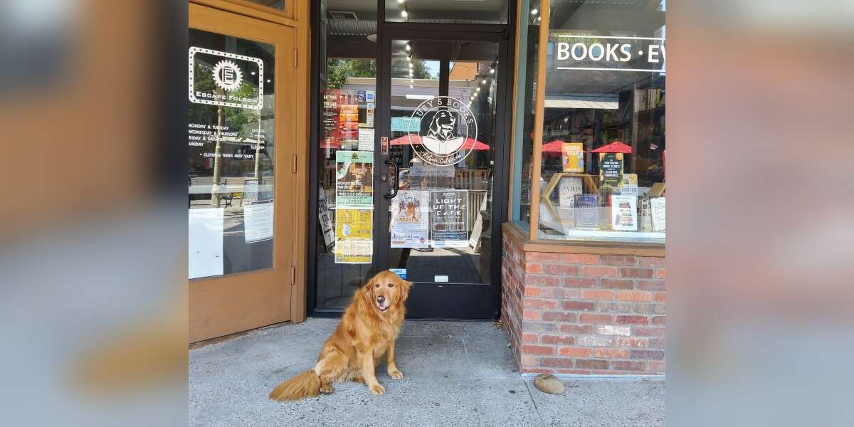 Family Names Bookstore After Their Dog And Makes Her The Manager - The Dodo