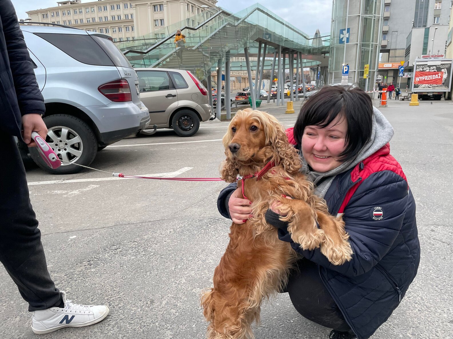Rescuer Is Helping Ukrainian Refugee Families And Their Pets Stay ...