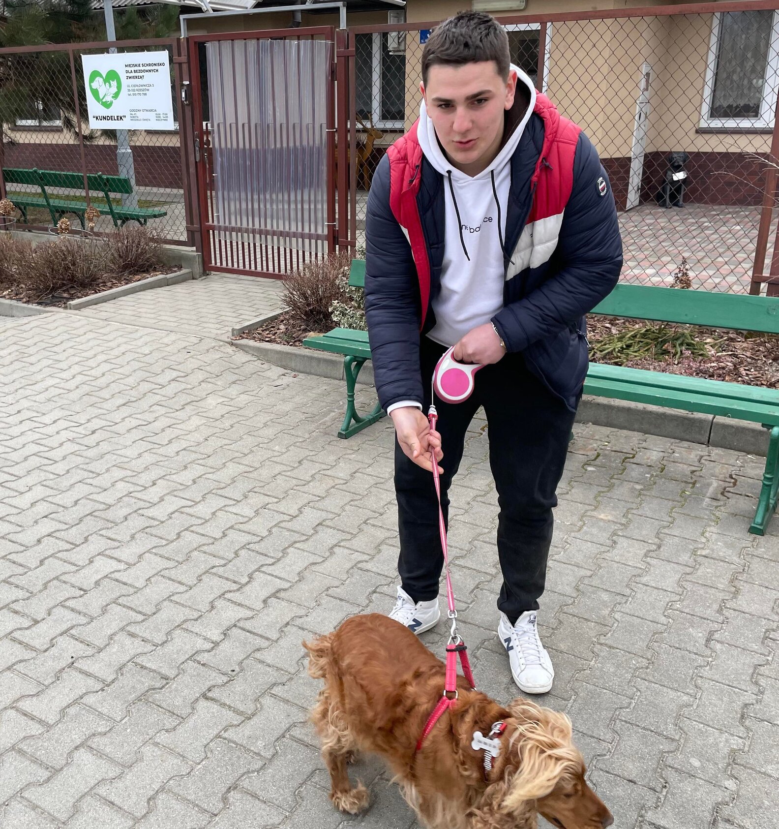 Rescuer Is Helping Ukrainian Refugee Families And Their Pets Stay ...