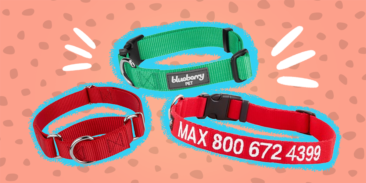 5 Collars For Puppies And Their ID Tags - DodoWell - The Dodo