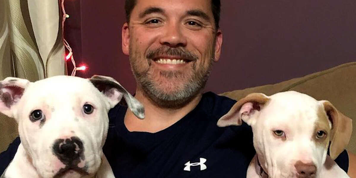 Tiny Pittie Foster Puppies Become 80-Pound Lap Dogs - Videos - The Dodo