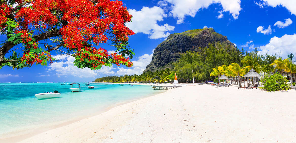 The CDC Adds Mauritius to its 'Avoid Travel' List - Thrillist