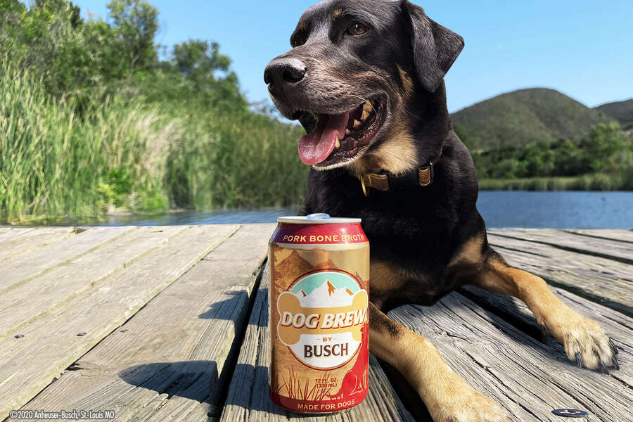Busch Beer Wants to Put Your Dog on Its New Dog Brew Cans - Thrillist