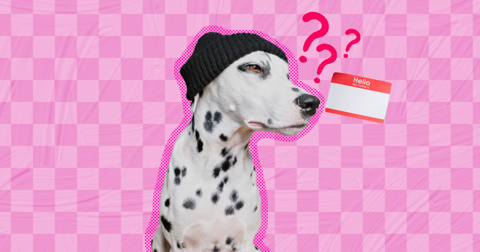 100 Hipster Girl Dog Names For Your Trendy Pup DodoWell The Dodo