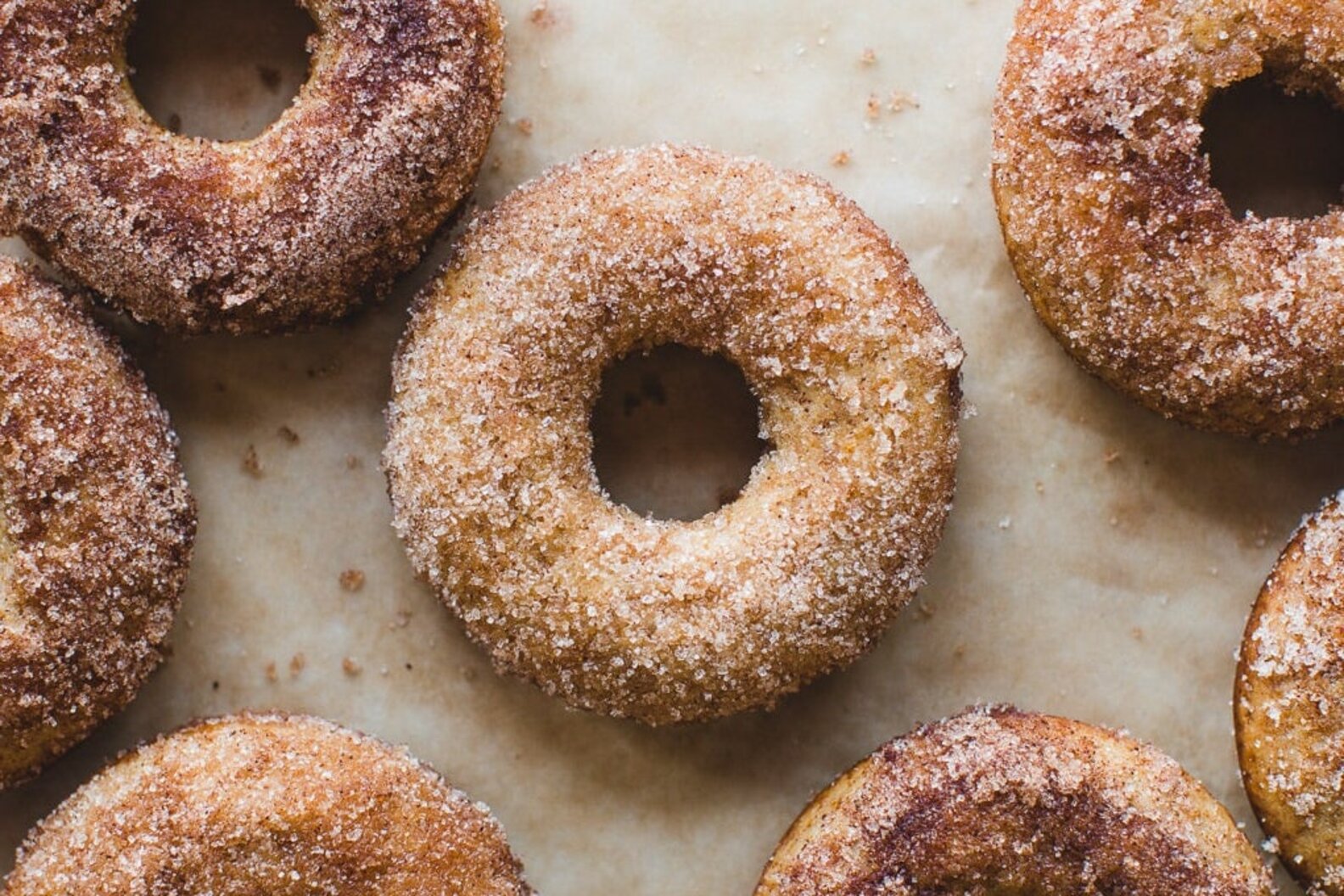 Best Donut Shops in America: Where to Find the Best Donuts Right Now - Thrillist