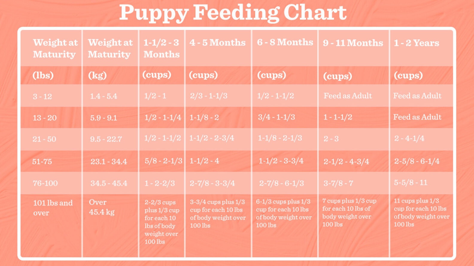 How Much To Feed A Puppy (And How Often), According To A Vet - DodoWell ...