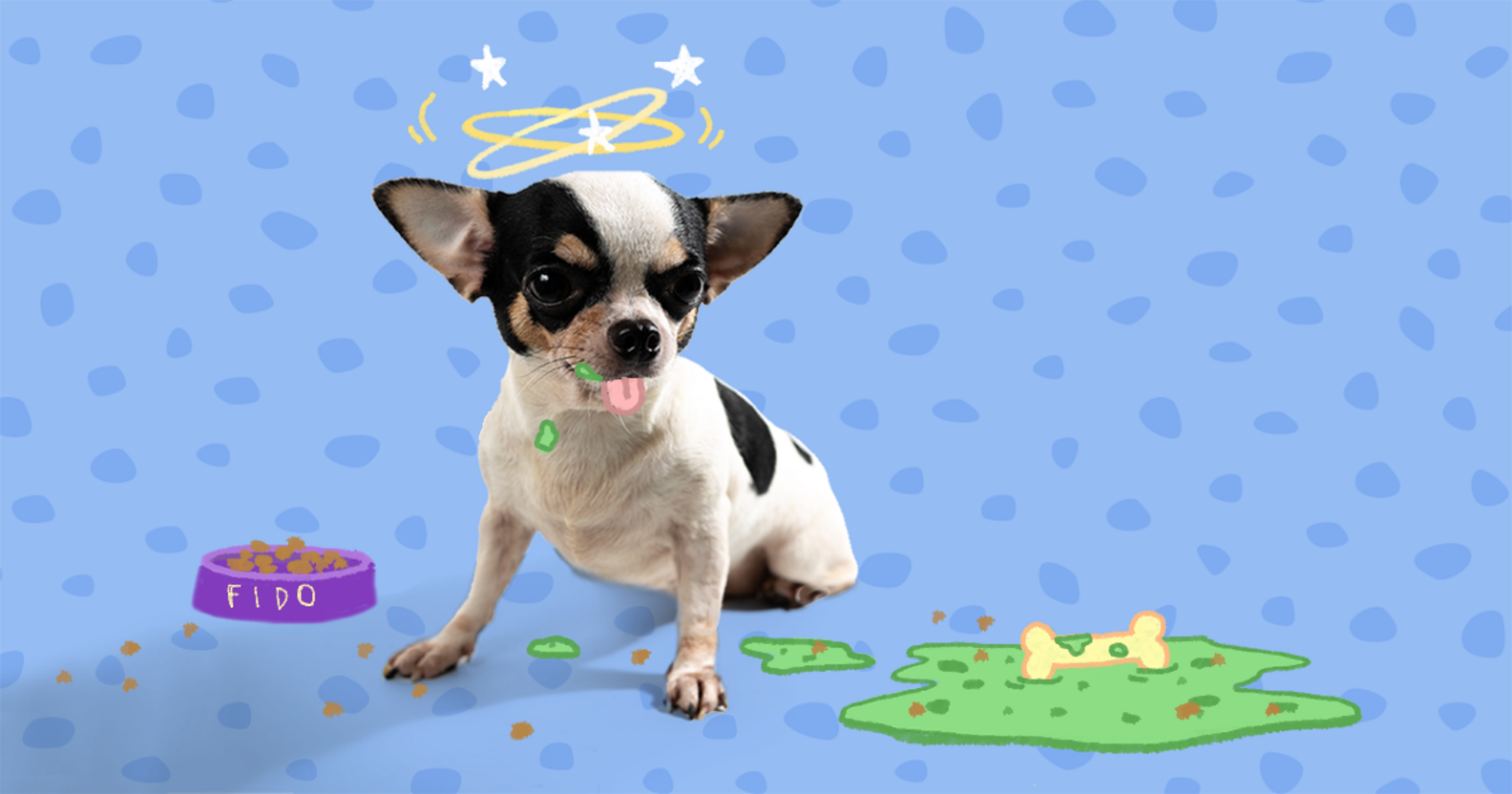 Why Your Puppy's Throwing Up And How To Help - DodoWell - The Dodo