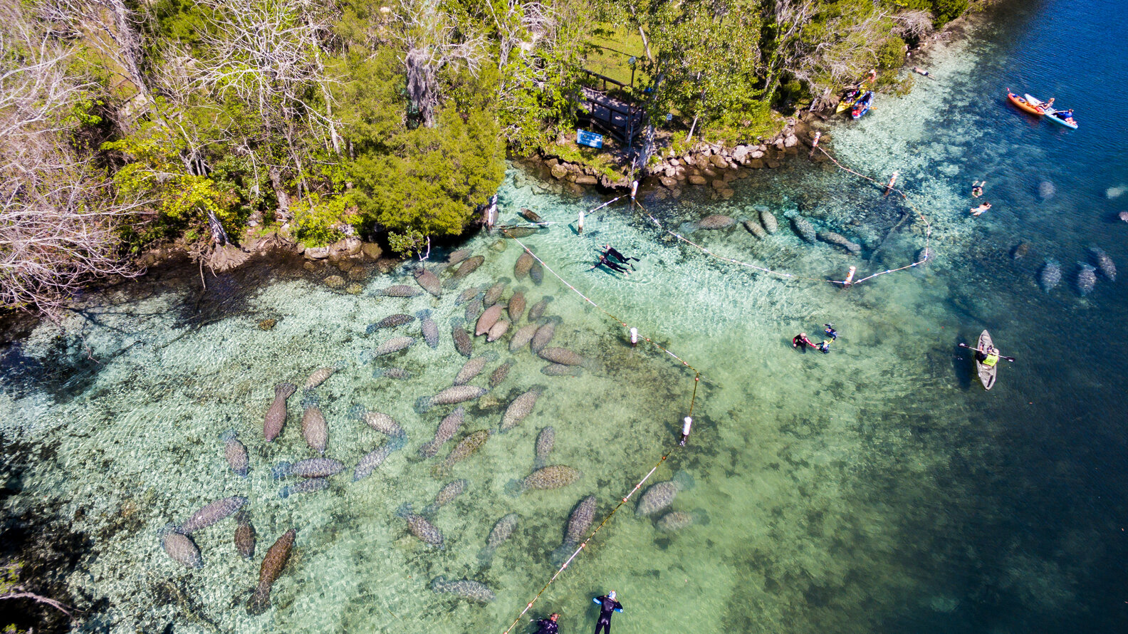 Best Things to Do in Crystal River, Florida - Thrillist