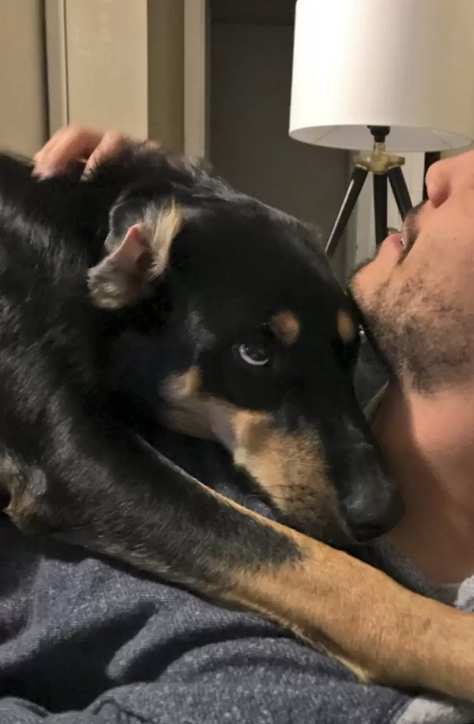 April Fools Pet Pranks: 5 Hilarious Tricks Dogs Have Played On Their ...