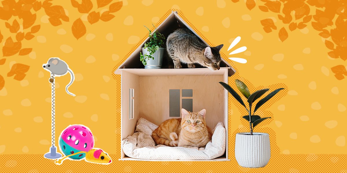 8 Cat Room Ideas To Give Your Kitty Her Own Space - DodoWell - The Dodo