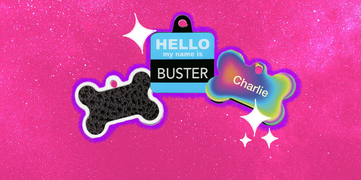 Dog Name Tags: Here Are 12 You'll Be Obsessed With - DodoWell - The Dodo