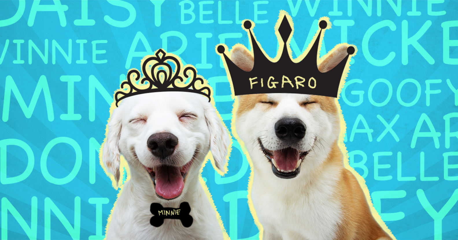 Disney Dog Names: 100+ That Are Absolutely Magical - DodoWell - The Dodo