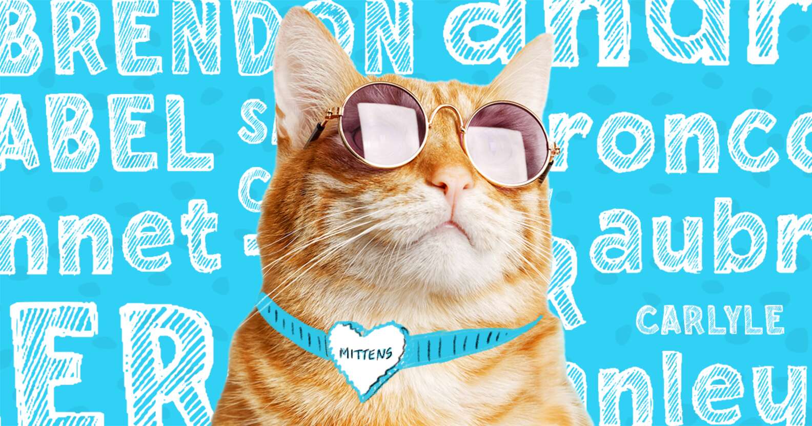 Boy Cat Names 160 Options For Your Male Cat DodoWell The Dodo Boy Cat Names 160 Options For Your Male Cat DodoWell The Dodo