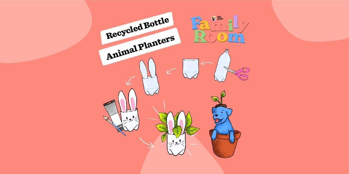 Earth Day Crafts: Celebrate April 22 By Making Recycled Soda Bottle ...