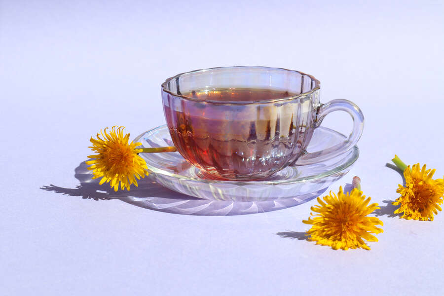How to Make Dandelion Wine, Tea, and More - Thrillist