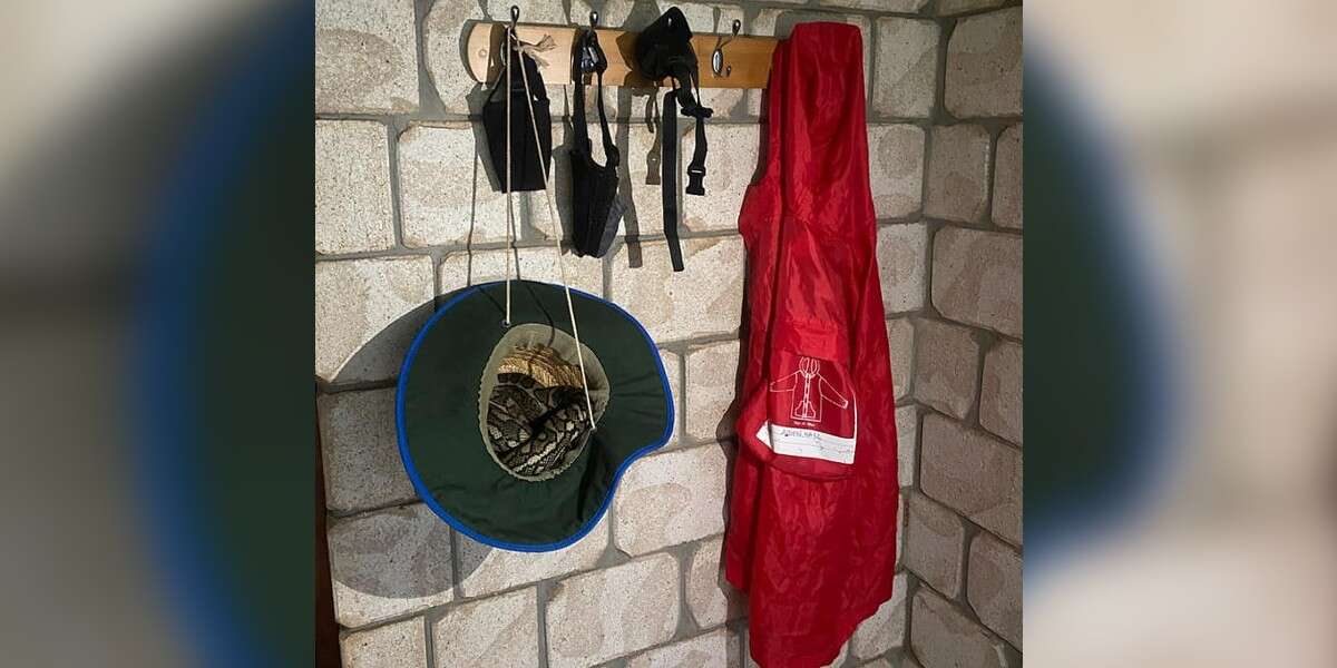 Guy Grabbing Hat Finds Someone Using It - The Dodo