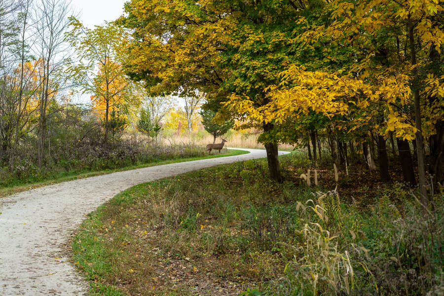 Deer Grove Forest Preserve: Cook County, Illinois - Thrillist