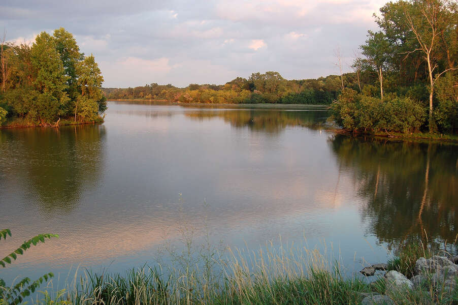 Ned Brown Forest Preserve (Busse Woods): Elk Grove Village, IL - Thrillist