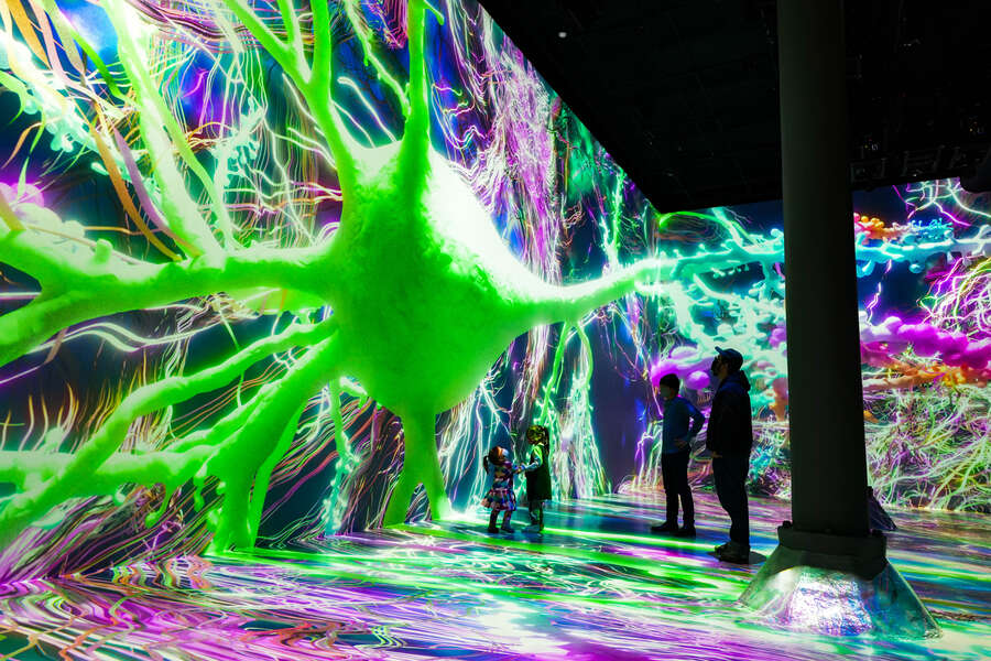 ARTECHOUSE Announced New 'Life of a Neuron' Exhibit in NYC - Thrillist