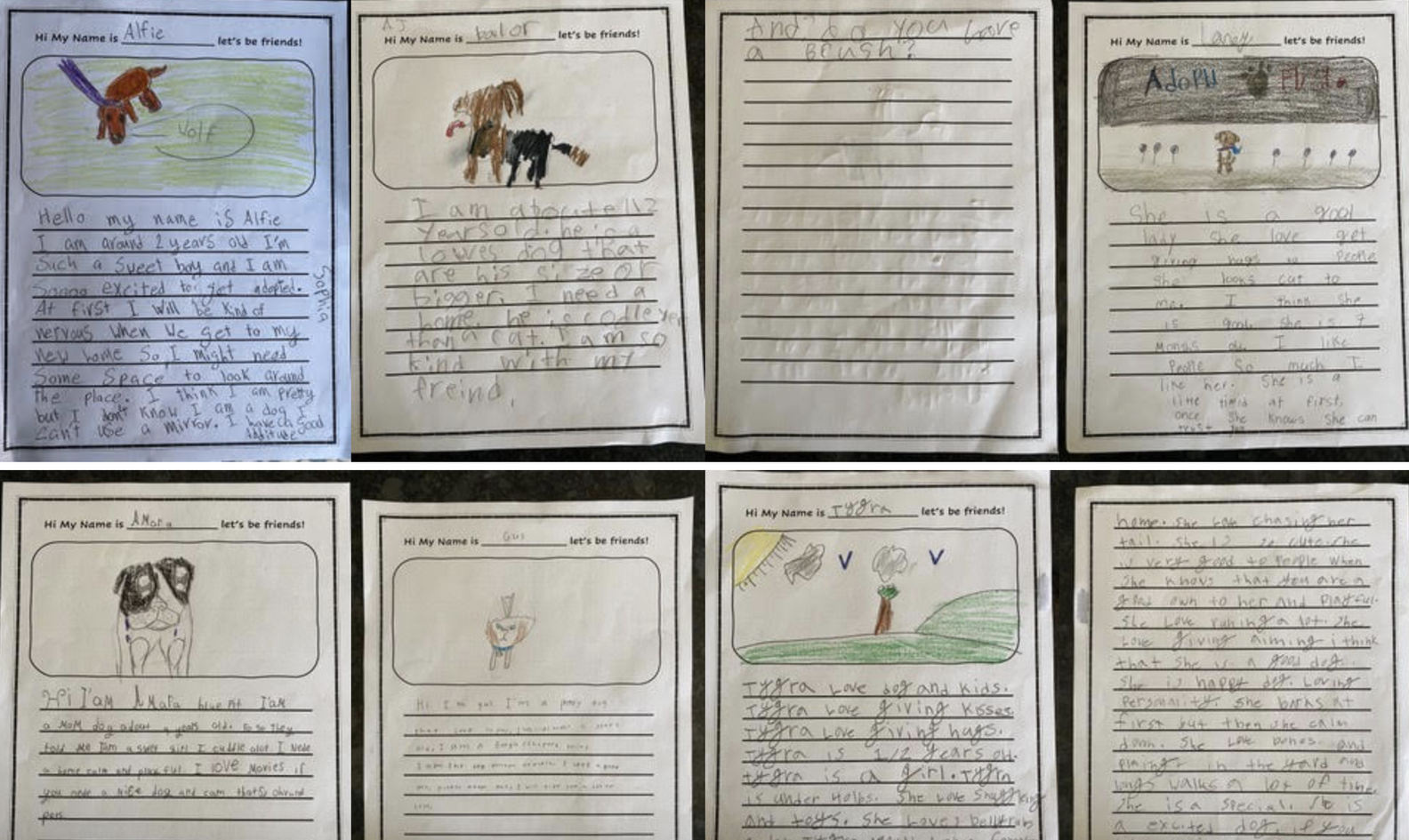 Second Graders Draw Pictures Of Shelter Dogs To Help Them Get Adopted ...