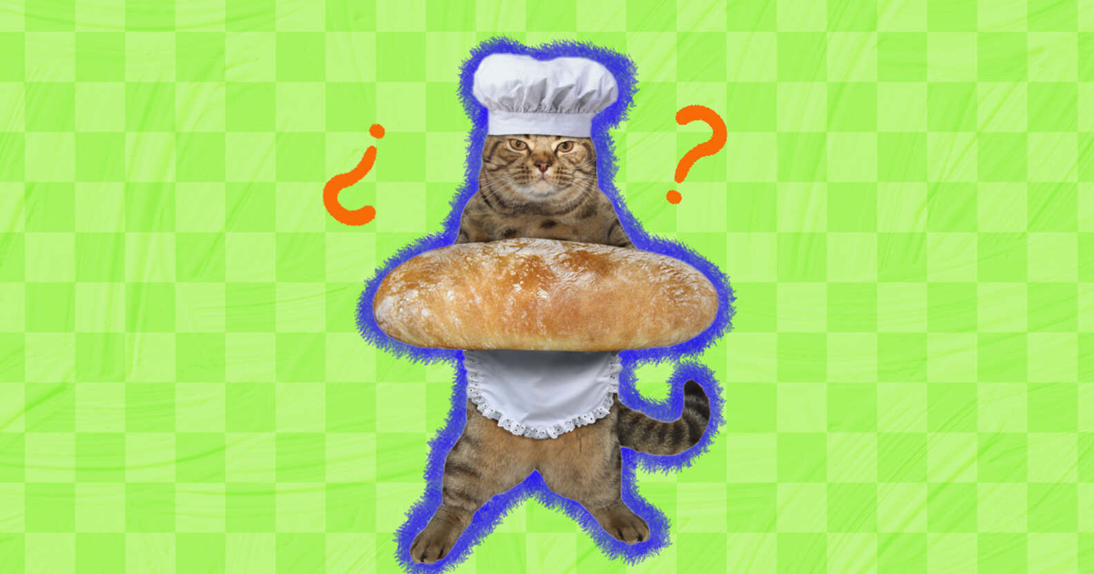 Can Cats Eat Bread? And Is It Safe For Them? - DodoWell - The Dodo